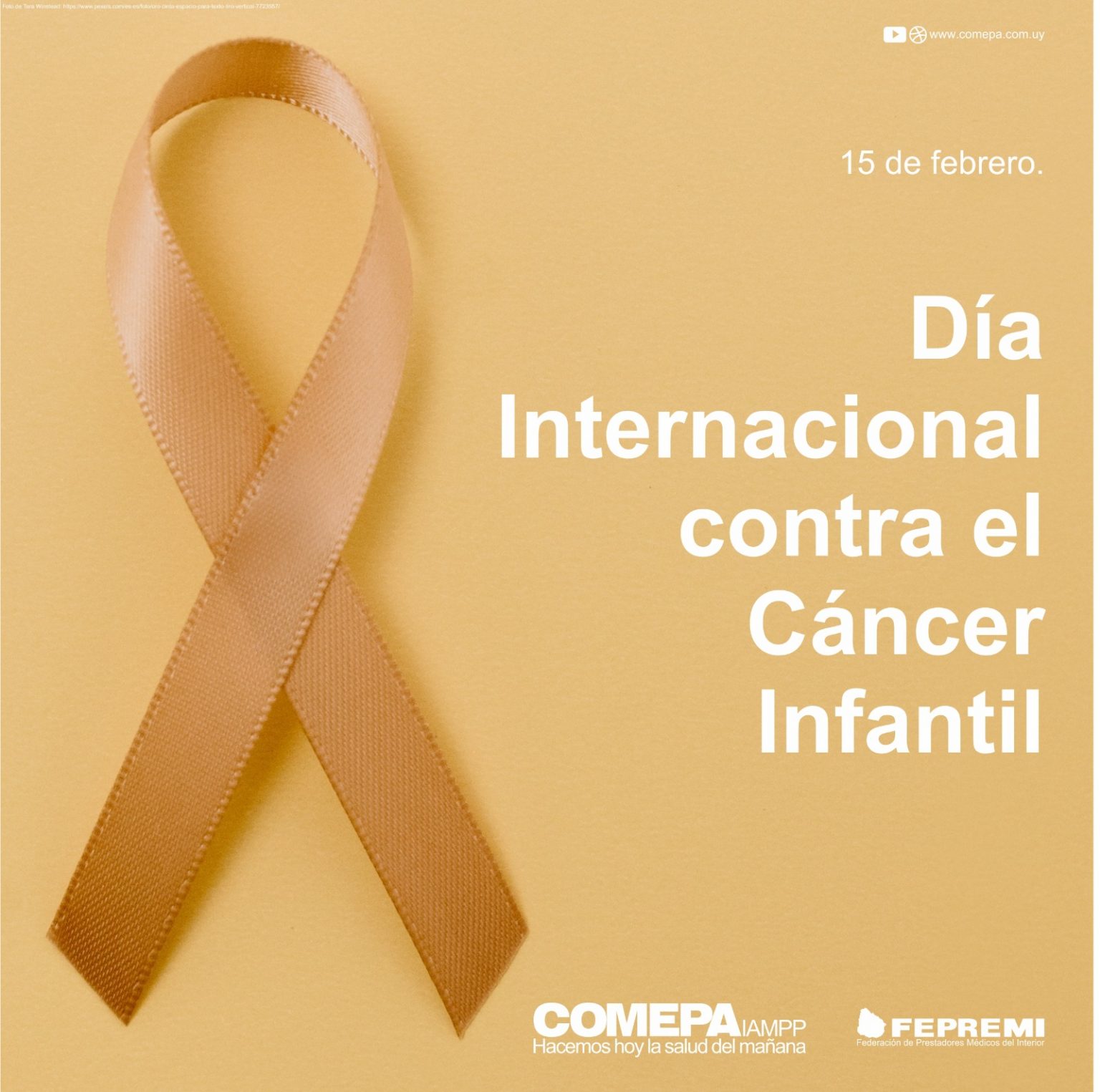 Día Internacional contra el Cáncer Infantil – COMEPA